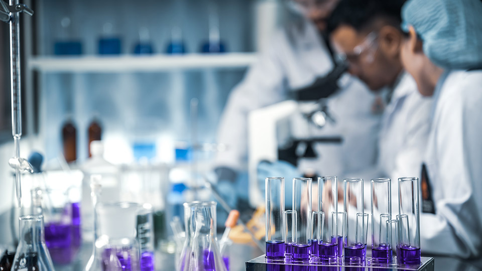 Rigor, Reproducibility and Transparency Training Program - Research ...